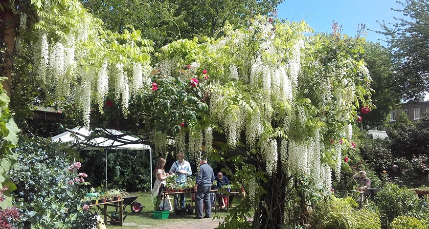 Supporting Community Gardening in the City | Axis Foundation